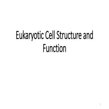 Eukaryotic Cell Structure and Function.pptx