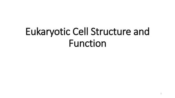 Detailed_Cell_Structure_and_Function (1).pptx