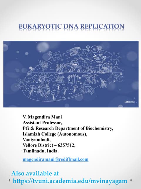 Dna Replication Eukaryotes Pptx