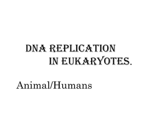 Dna Replication Eukaryotes Pptx