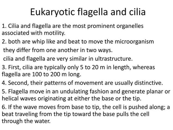 MOTILITY | PPT