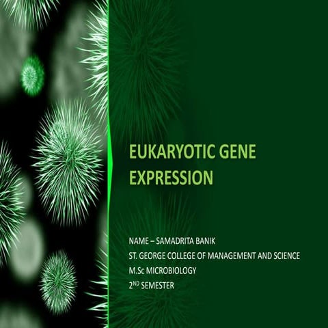 Eukaryotic gene expression | PPTX