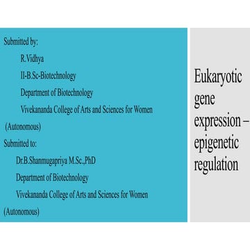 Eukaryotic Gene Expression Epigenetic Regulation | PPTX