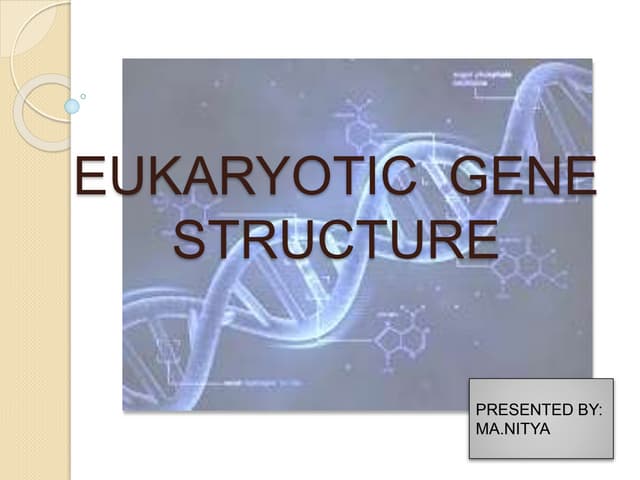 Structure of prokaryotic genes. | PPTX