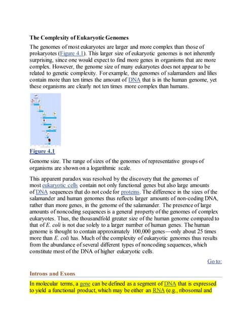 Genome size and complexity of eukaryotic genome.pptx | Biological ...