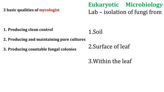 Experiment route map of fungal research pptx | PPTX