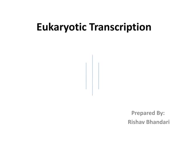 TRANSCRIPTION IN EUKARYOTES | PPT