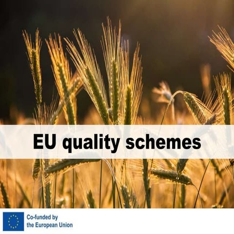 EU quality schemes en.pptx