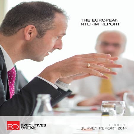 Interim-Management Report Europe | PDF