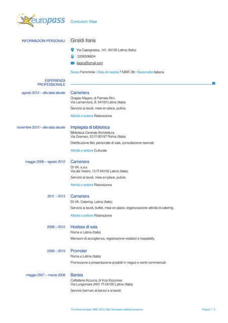 Curriculum Daniele Rina | PDF