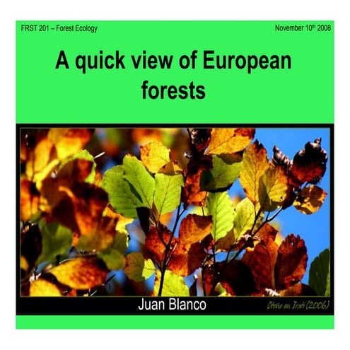 European forests a lecture on main forest types | PDF