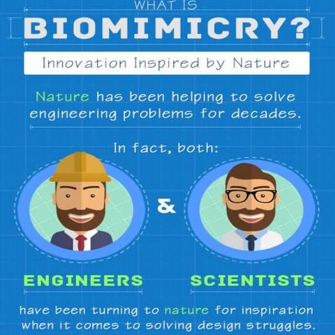 What is Biomimcry? | PPTX