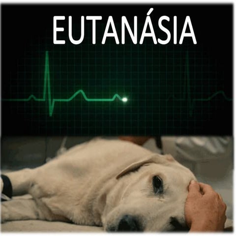 EUTANÁSIA.ppt............................ | PPT