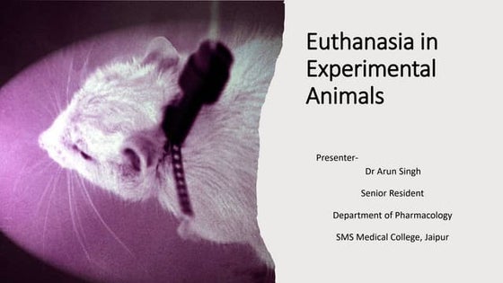 Euthanasia | PPTX | Veterinary Medicine | Pets