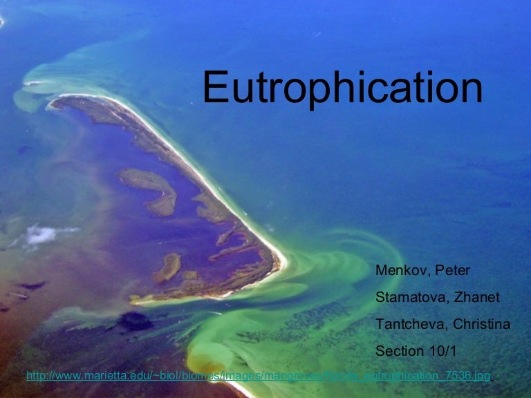 Eutrophication