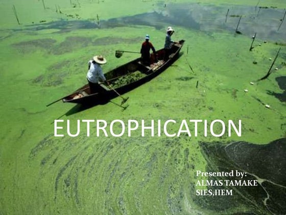 Eutrophication | PPT