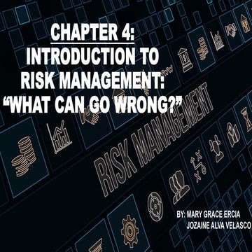 EV_-RISK-MANAGEMENT-REPORT.pdf