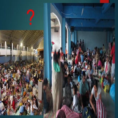 Evacuation center management | PPT