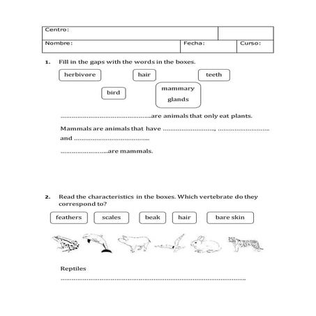 Eval 4epns unit 2 vertebrates | DOCX