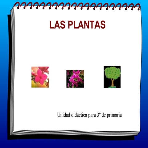 Las Plantas | PPT