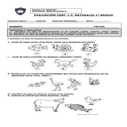 Ciclo de vida de los animales | PPTX