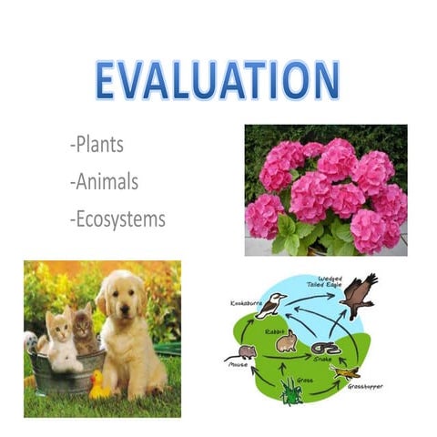 Unit2 animals | PDF