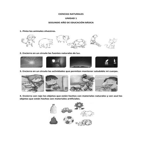 Evaluaciones ciencias naturales 2 do (2) (1) | PDF