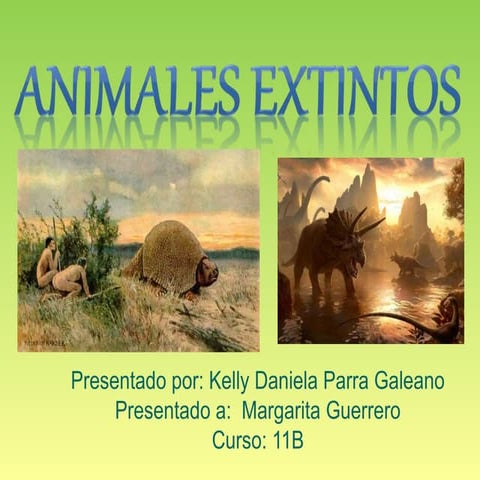 Lista De Animales Extintos 21 Especies De Animales Fueron Declaradas