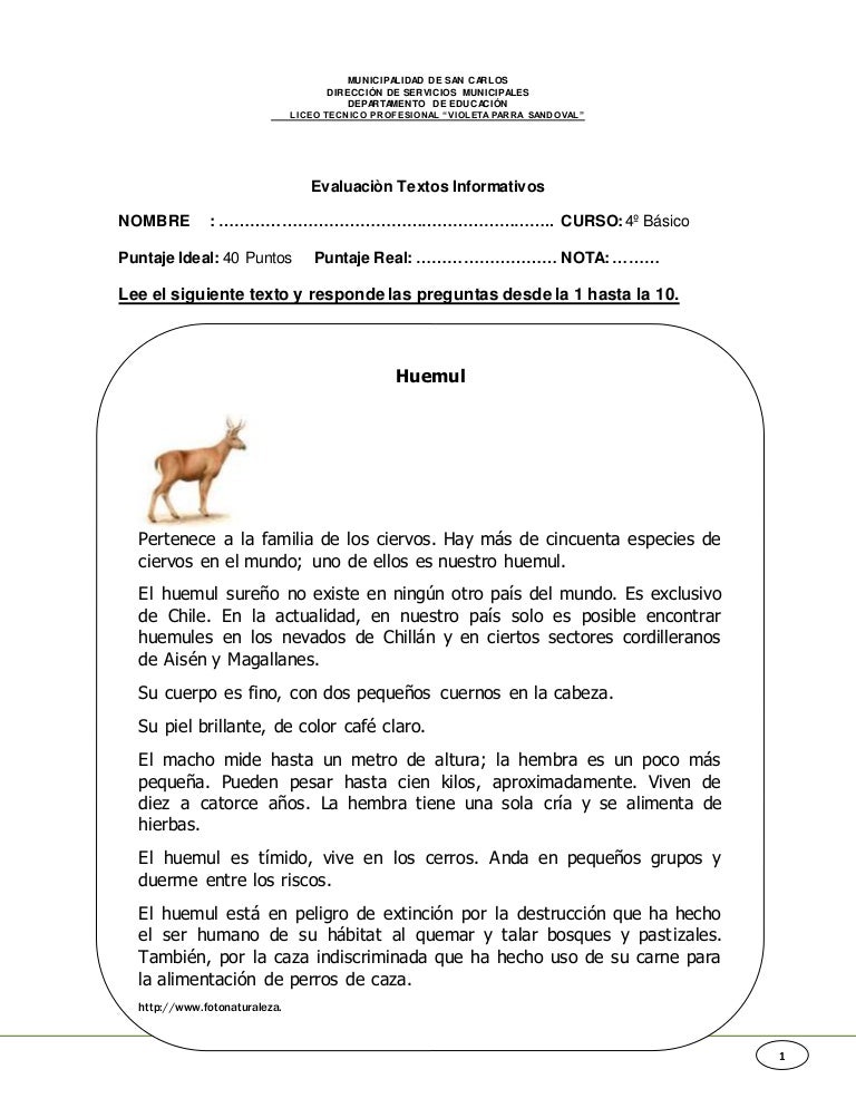 Ejercicio De Textos Informativos 5to Grado - vrogue.co Ejercicio De Textos Informativos 5to Grado - vrogue.co