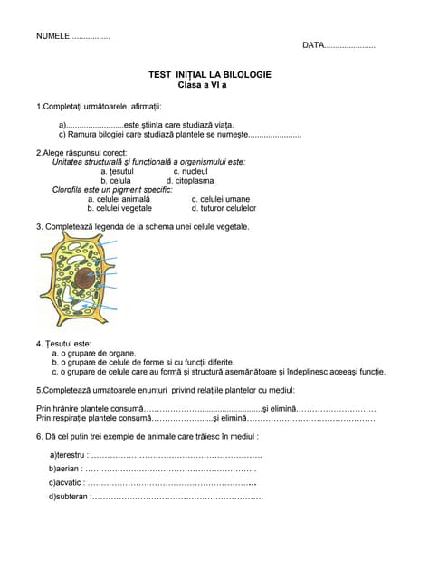 Evaluare initiala biologie_cls07_model_test | PDF