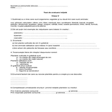Evaluare initiala la cl.a 5 | PDF