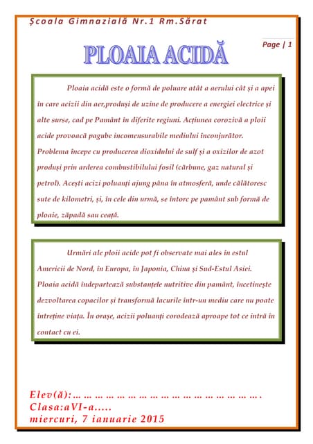 Fisa interfata word100114 0001 | PDF