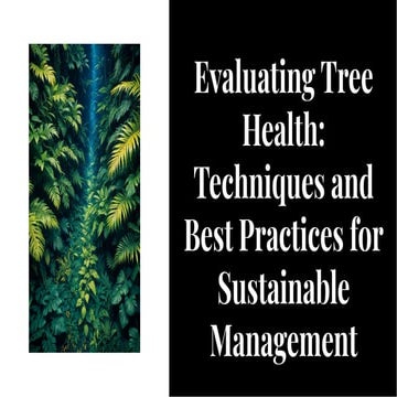 Evaluating-tree-health-techniques-and-best-practices-for-sustainable ...