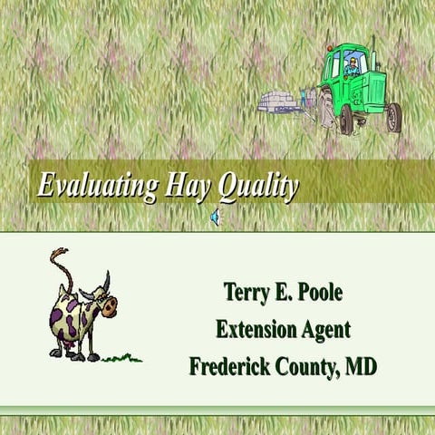 Evaluating Hay Quality | PPT