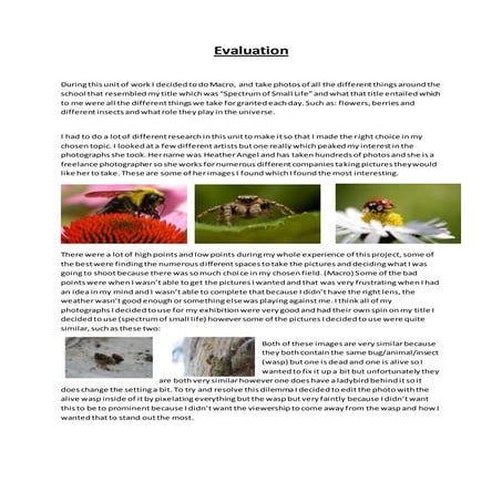 Evaluation of photos | PPT