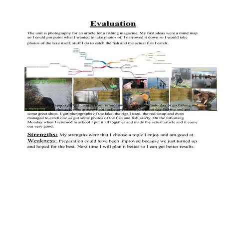 Evaluation for article | DOCX