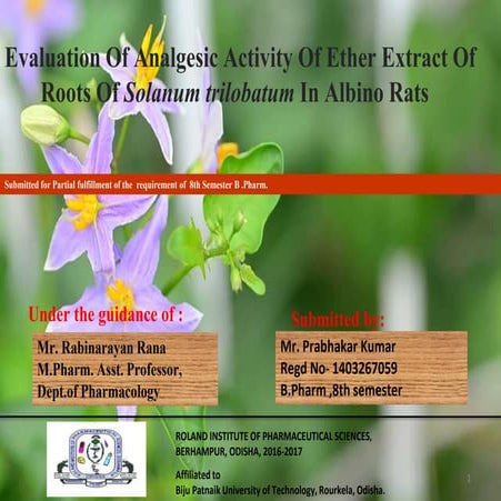 Evaluation Of Analgesic Activity Of Ether Extract Of Roots Of Solanum ...