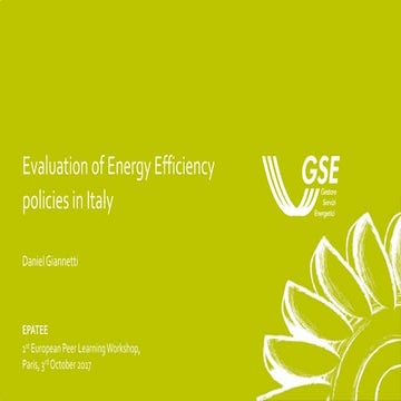 Evaluation of Energy Efficiency policies in Italy - Daniel Giannetti ...