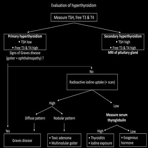 Evaluation of hyperthyroidism HY | PDF | Thyroid Disorders | Endocrine ...