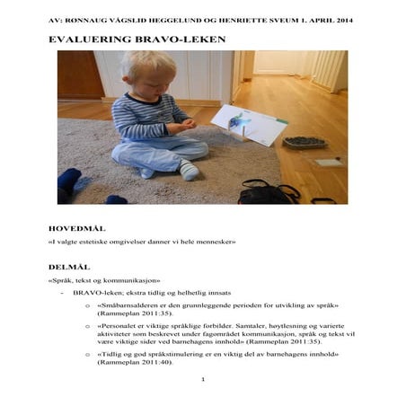 Evaluering bravo | PDF