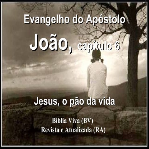 Evangelho segundo Joao 5 | PPS