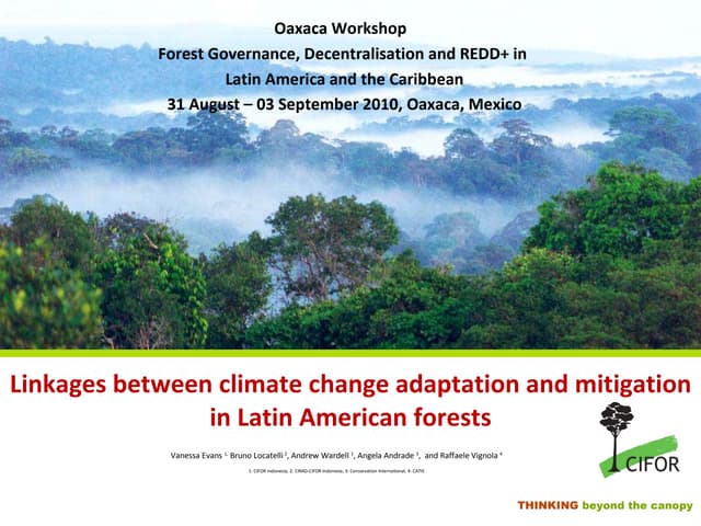 Linkages between climate change adaptation and mitigation in Latin ...