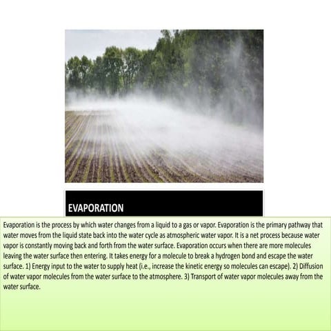 Evaporation | PPTX
