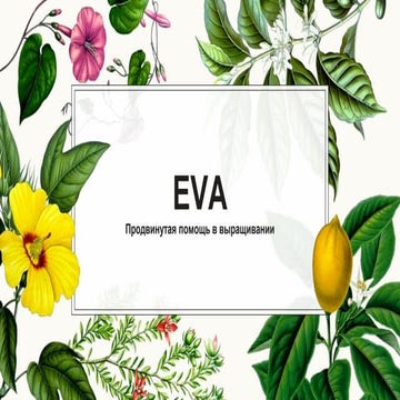 Eva project | PPT