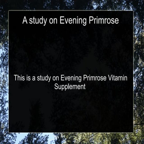 Evening primrose & Uses | ODP