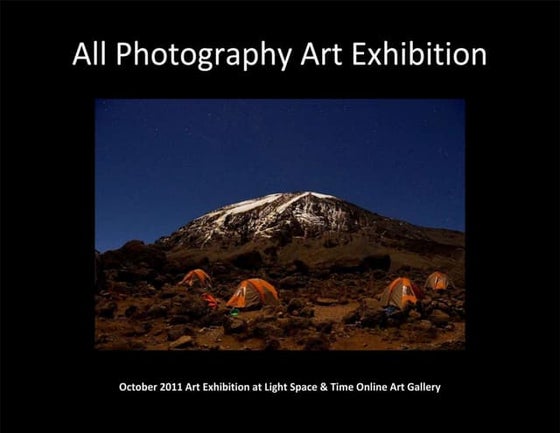 Writing Effective Interpretive Labels for Art Exhibitions: A Nuts and ...