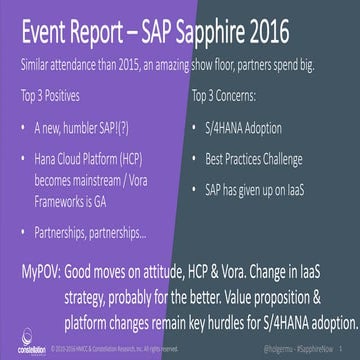Event report - SAP Sapphire 2016 - Top 3 Positives & Concerns | PDF