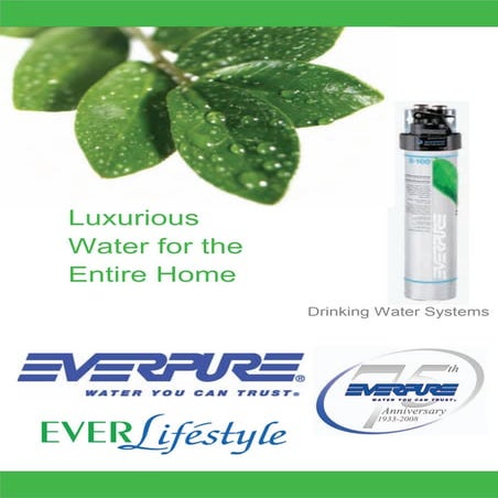 Everpure Drinking Water System | PDF
