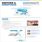 everX Flow a short-fibre reinforced flowable composite designed to ...