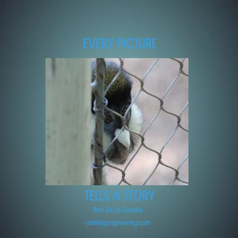 Every Picture Tells a Story | PPT